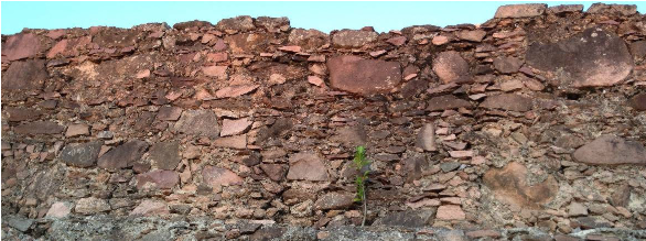 The Guardian Wall That Protects Mankind